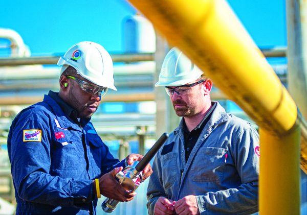 GD10P Fixed Gas Detector - Martek Marine